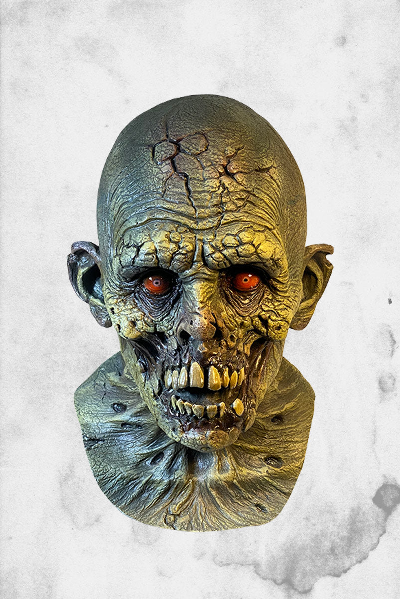 Jordu Schell - Dry Rot Mask – Post Mortem Horror Bootique